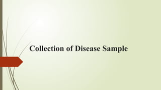 Collection of Disease Sample...gv..1.pptx