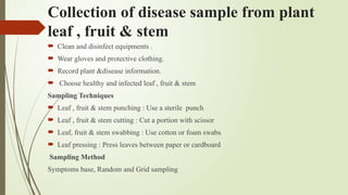 Collection of Disease Sample...gv..1.pptx