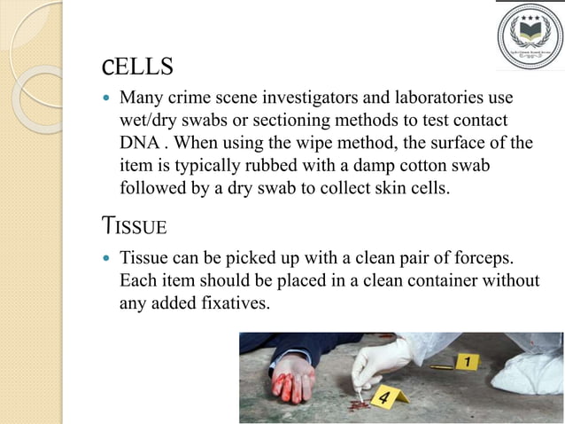 Collection of DNA evidence at crime scene | PPTX
