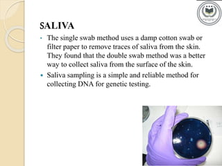 Collection of DNA evidence at crime scene | PPTX