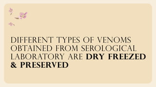 COLLECTION OF DRUG SUBSTANCES.homoeopathy | PPTX