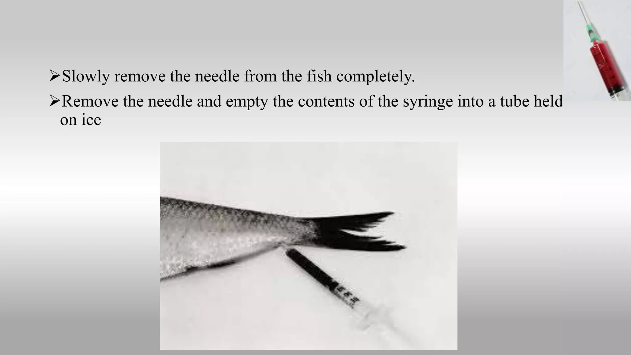 Collection of fish blood | PPTX