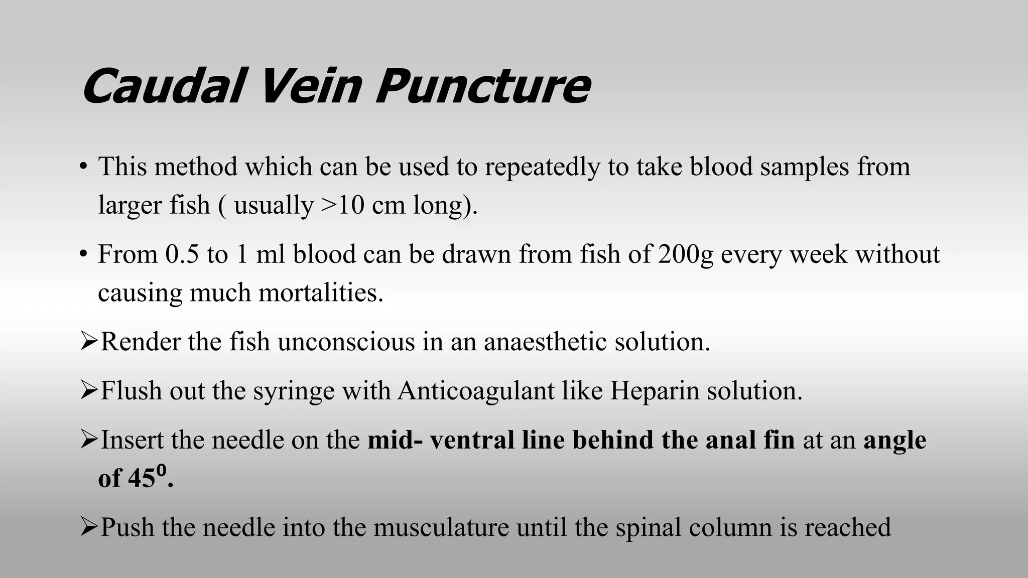 Collection of fish blood | PPTX