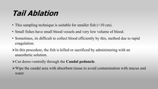 Collection of fish blood | PPTX