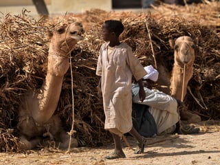 Funny overloaded Equipment 2 | PDF