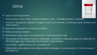 collection of microbiological specimen urine and blood sample.pptx