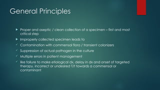 collection of microbiological specimen urine and blood sample.pptx
