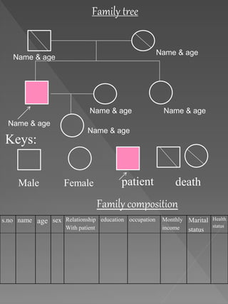 HISTORY COLLECTION FORMAT | PPTX