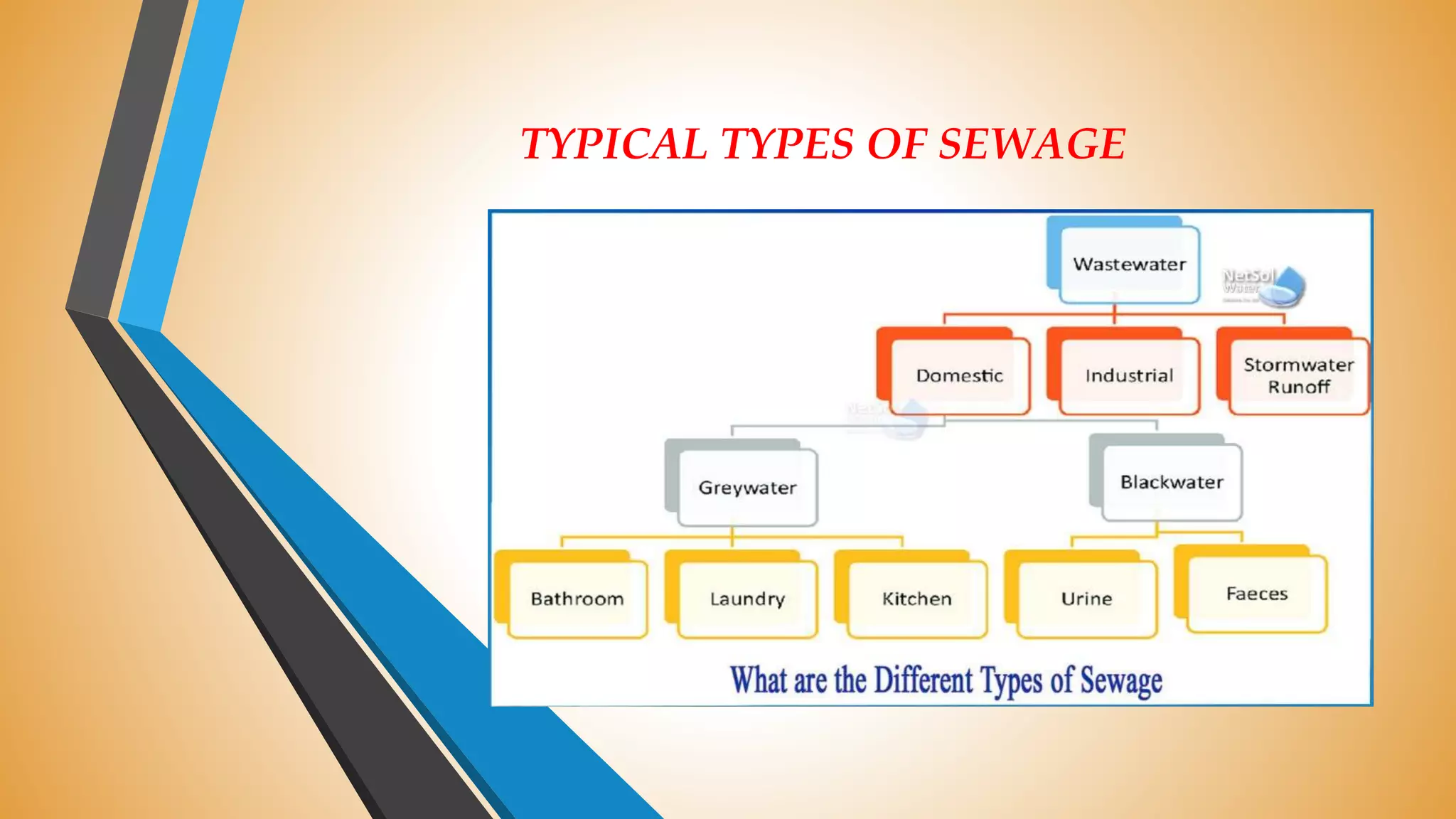 Collection Of Sewage PPT.pptx