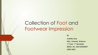 Collection of Shoe and Foot Impression.pptx