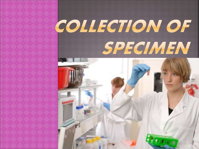 Collection of specimen in children. | PPT