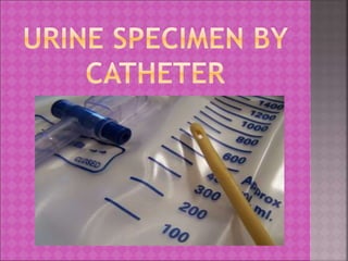 Collection of specimen in children. | PPT