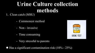 Collection of urine sample | PPT