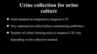 Collection of urine sample | PPT