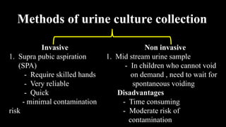 Collection of urine sample | PPT