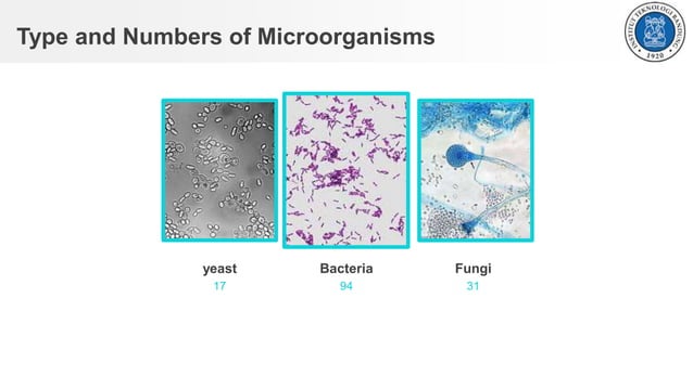 Introduction to ITBCC | PPTX