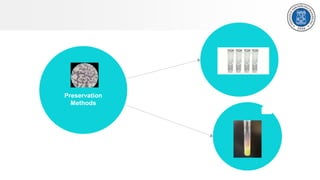 Introduction to ITBCC | PPTX