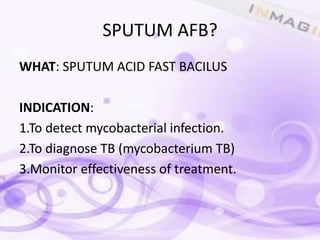 Collection sputum afb | PPTX