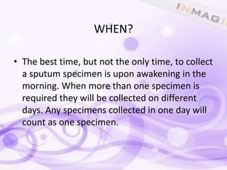 Collection sputum afb | PPTX