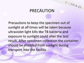 Collection sputum afb | PPTX