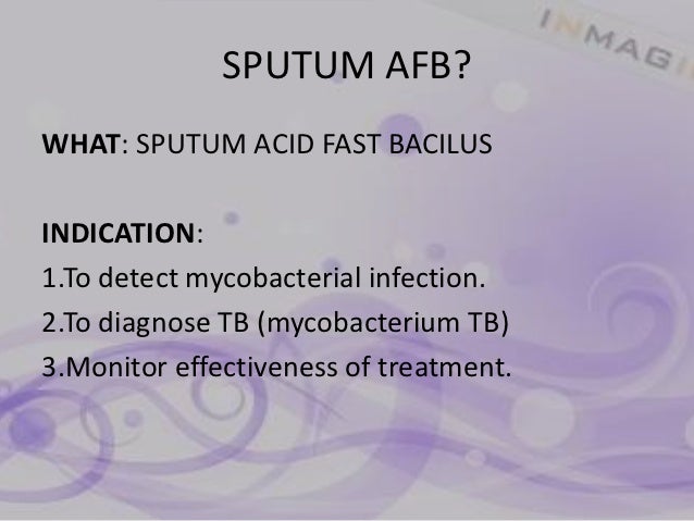 Collection sputum afb