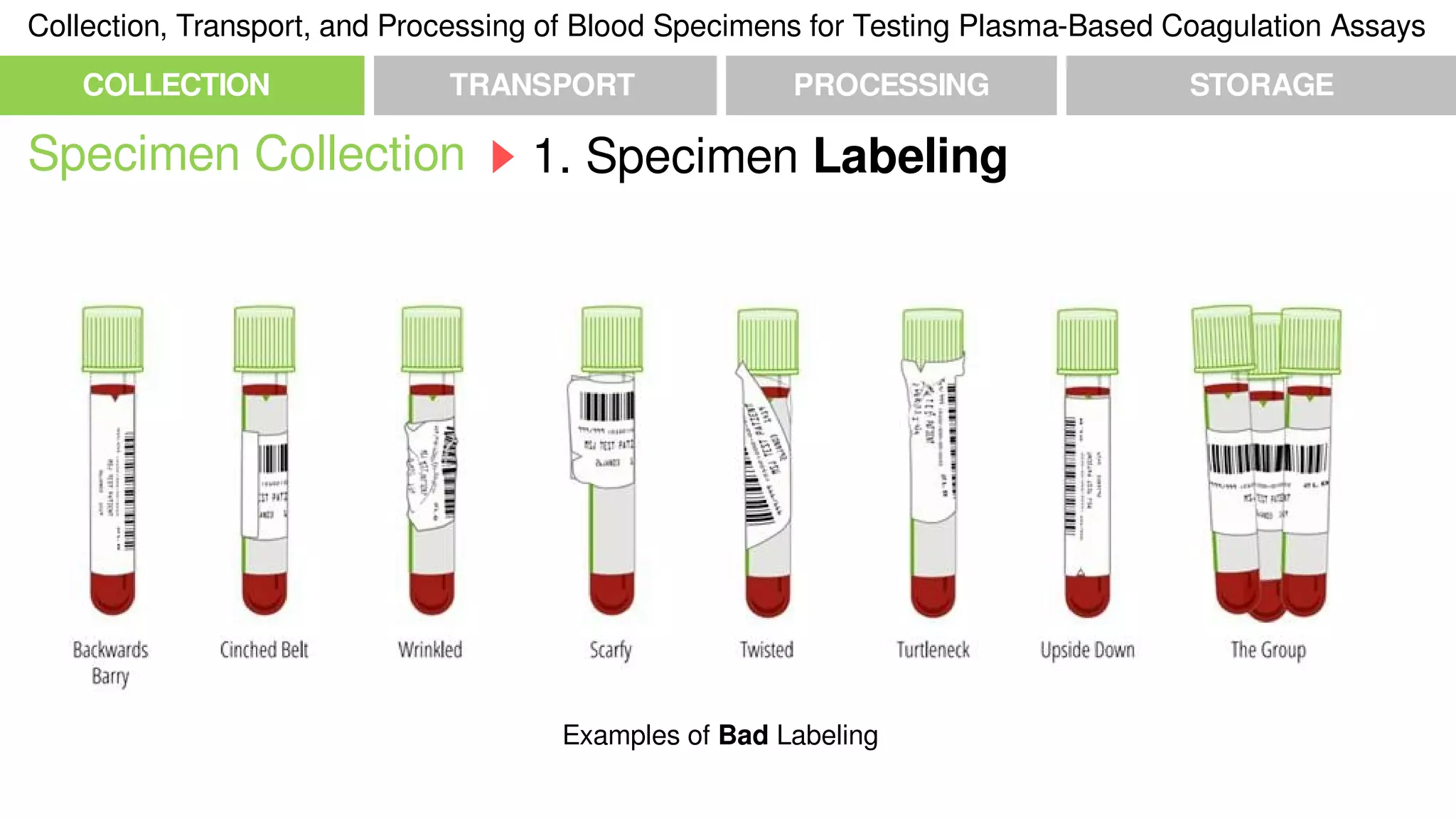 Collection, transport, and processing of blood specimens for testing ...