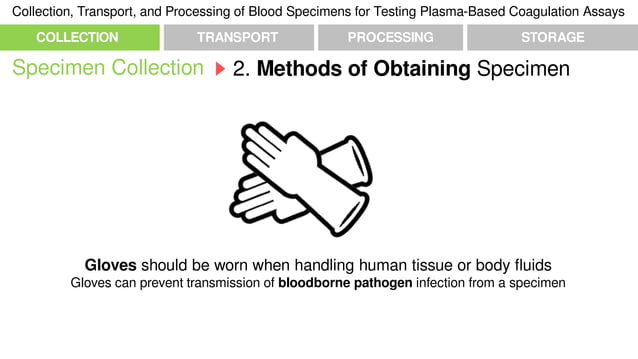 Collection, transport, and processing of blood specimens for testing ...
