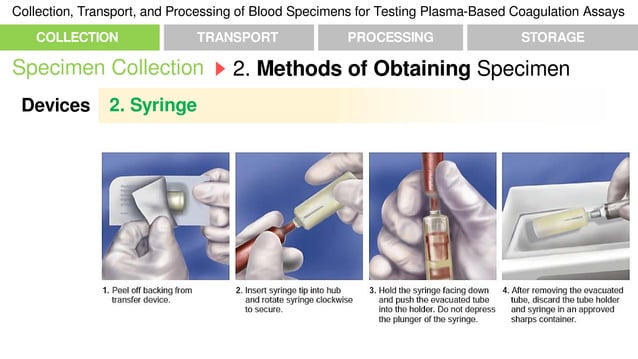 Collection, transport, and processing of blood specimens for testing ...