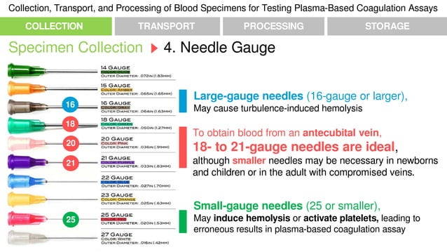 Collection, transport, and processing of blood specimens for testing ...