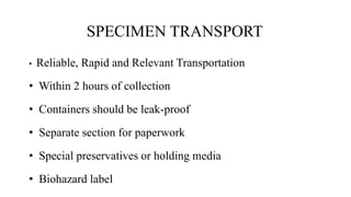 Collection and transport of clinical samples in laboratorries | PPTX