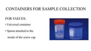 Collection and transport of clinical samples in laboratorries | PPTX