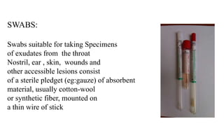 Collection and transport of clinical samples in laboratorries | PPTX