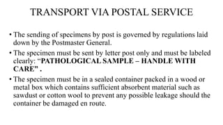 Collection and transport of clinical samples in laboratorries | PPTX