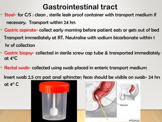 Collection & Transport of specimens for microbiologyppt | PPT