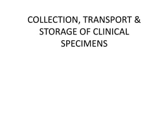 Collection, transport & storage of clinical specimens | PPTX