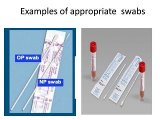 Collection, transport & storage of clinical specimens | PPTX