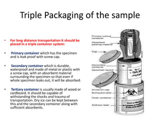 Collection, transport & storage of clinical specimens | PPTX