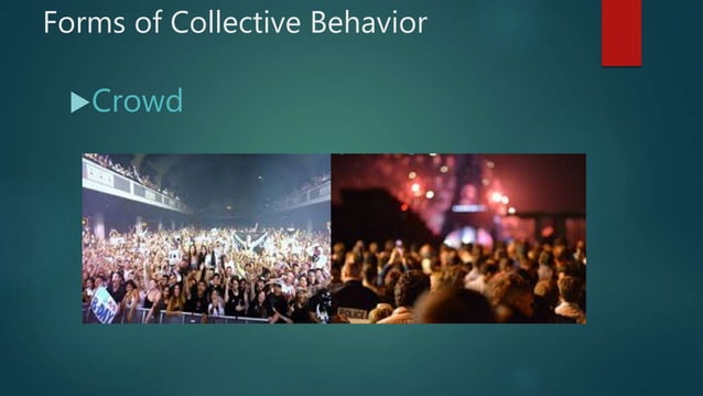 Collective behavior | PPT