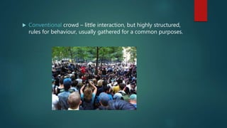 Collective behavior | PPT