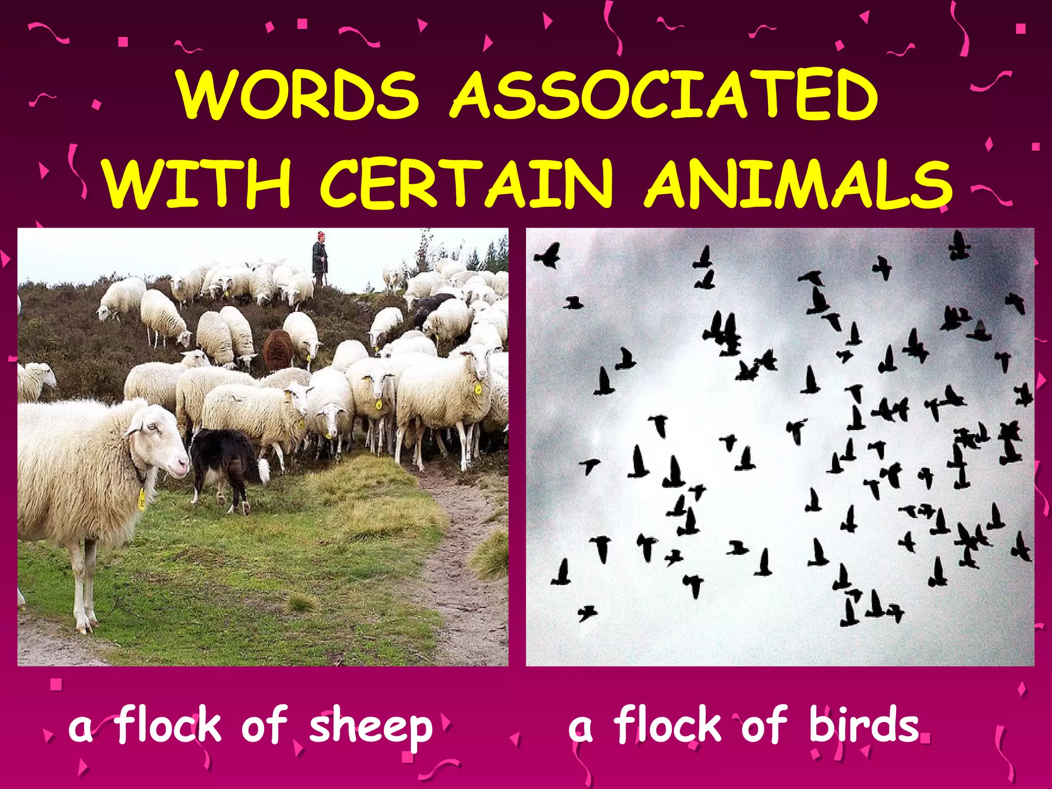 Collective Nouns | PPT