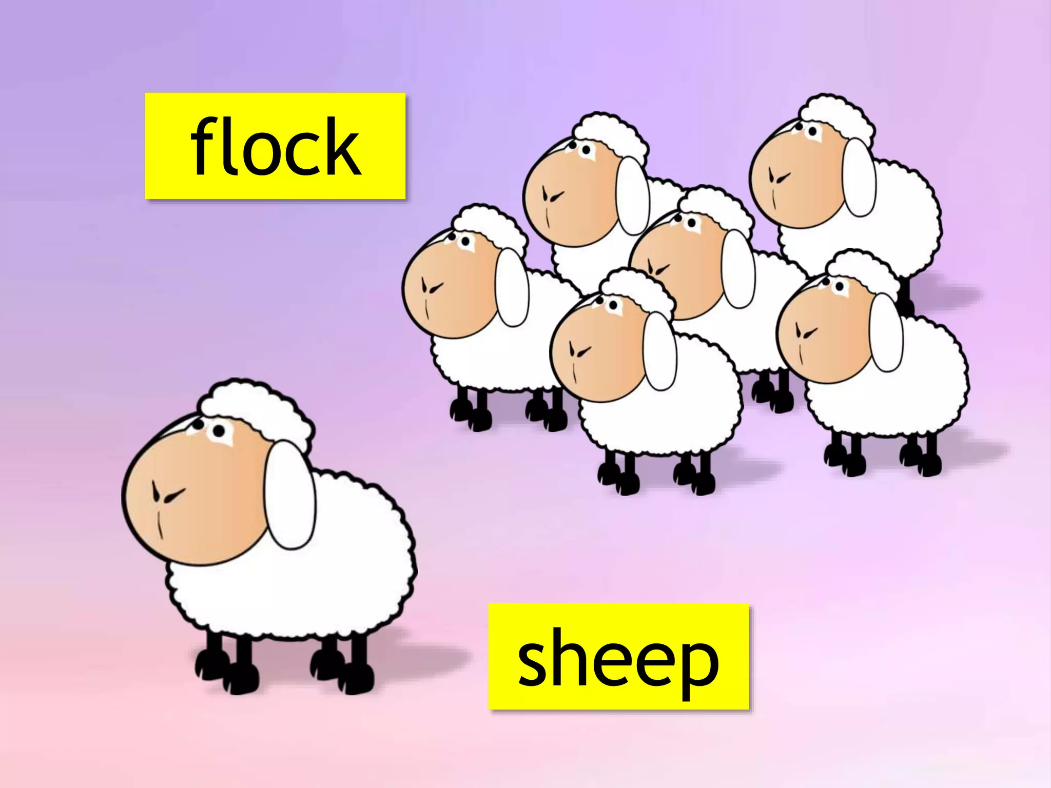 collective-nouns-flashcards-fun-activities-games-games_76040.pptx