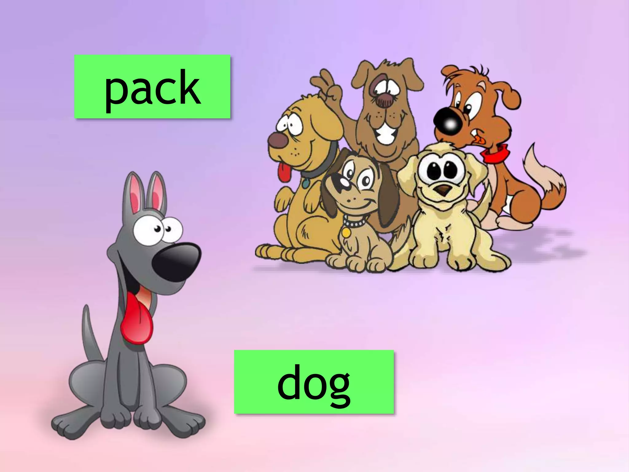 collective-nouns-flashcards-fun-activities-games-games_76040.pptx