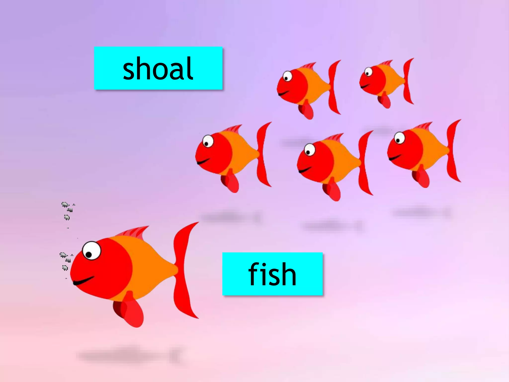 collective-nouns-flashcards-fun-activities-games-games_76040.pptx