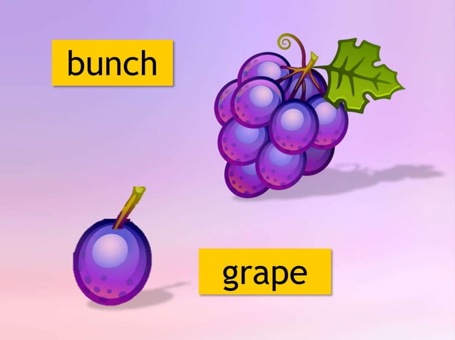 collective-nouns-flashcards-fun-activities-games-games_76040.pptx