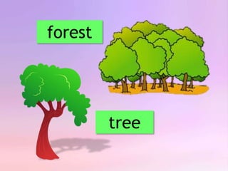 collective-nouns-flashcards-fun-activities-games-games_76040.pptx