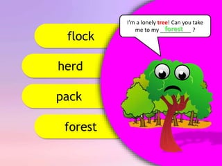 collective-nouns-flashcards-fun-activities-games-games_76040.pptx