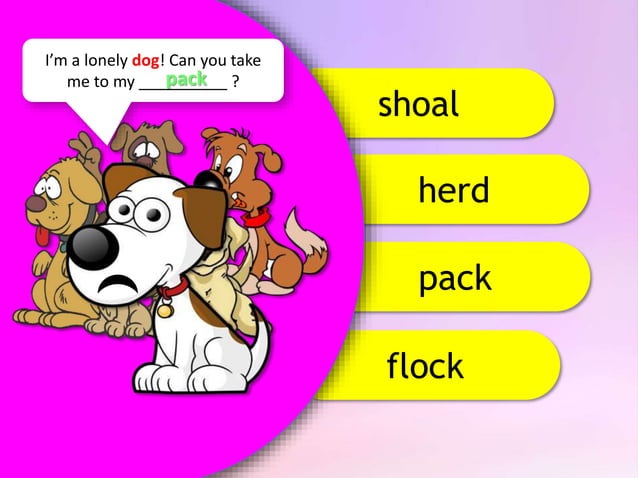 collective-nouns-flashcards-fun-activities-games-games_76040.pptx