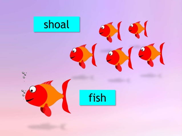 collective-nouns-flashcards-fun-activities-games-games_76040.pptx
