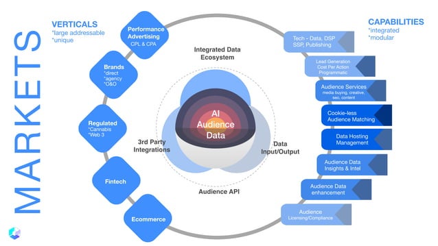 Collective Audience Transforming Digital Advertising | PDF