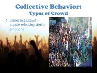 Collective behavior | PPT